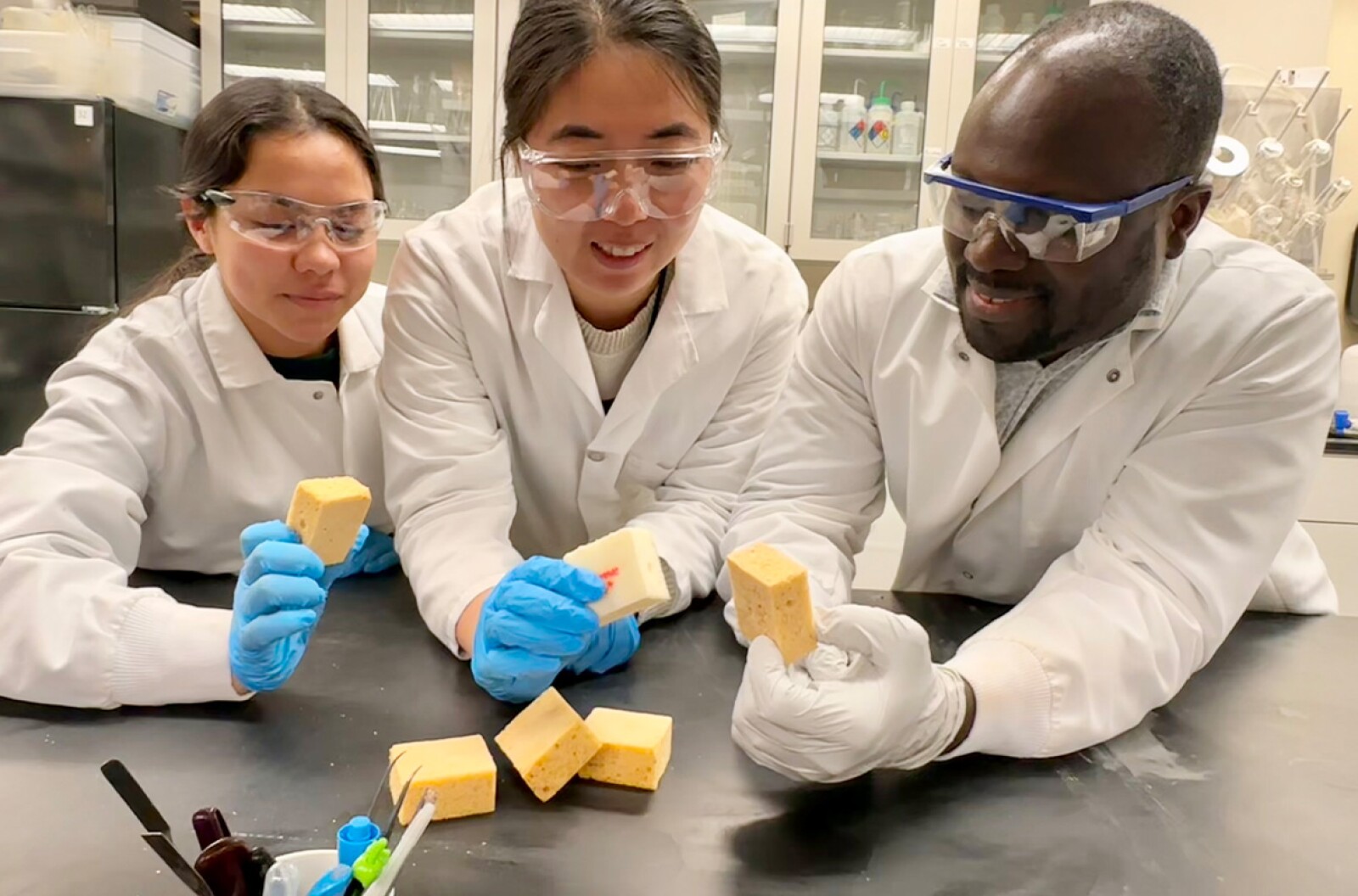 Washington State University Research Develops Plant-Based Substitute ...