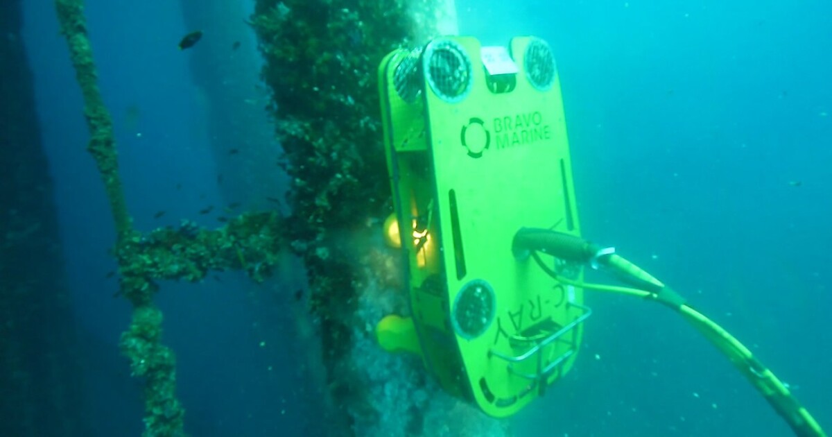 Mini Robots Could Help Keep Platforms Clean Under Water