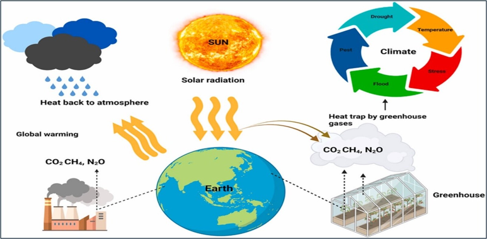 Beyond Carbon Emissions: The Hidden Greenhouse Gases Shaping Our ...