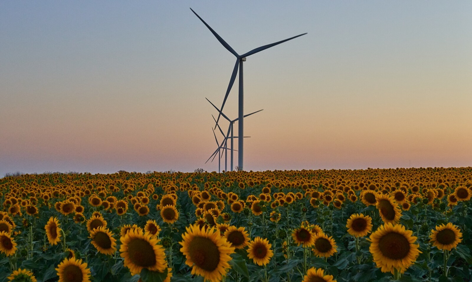 Developing Renewable Energy in Ukraine